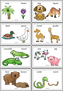 Building Vocabulary - Compare and Contrast - Speech Concepts